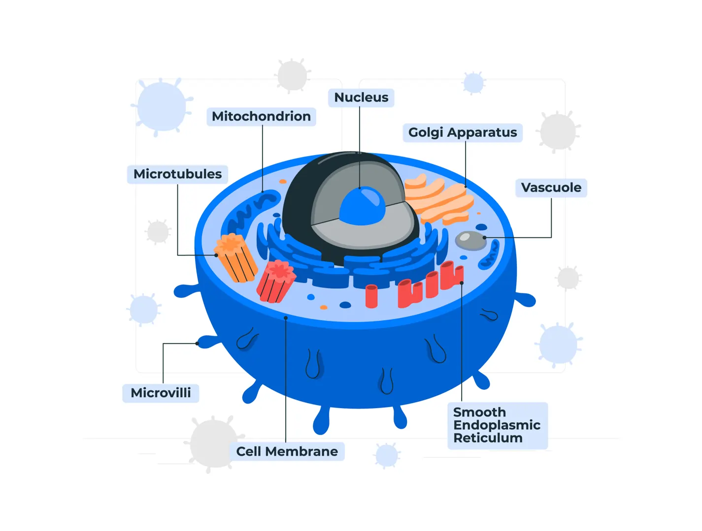 Prokaryotic Cells Vs. Eukaryotic Cells: A Detailed Exploration